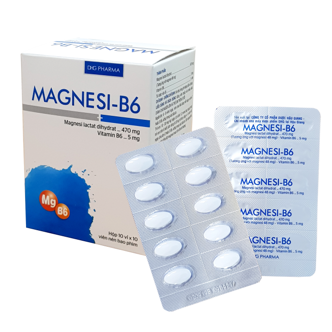 Magnesi-b6 Dhg (h/100v)