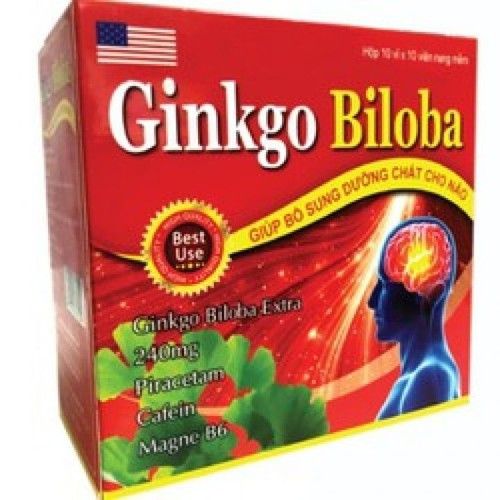Ginkgo Biloba 240mg Usa Pharma (h/100v)
