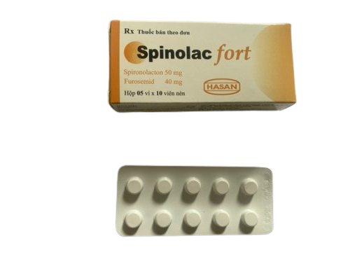 Spinolac Fort 50/40 Hasan (h/50v)