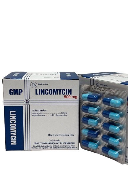 Lincomycin 500mg Nghệ An (h/100v)