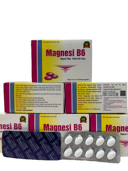 Magnesi B6 Đại Uy (h/100v)