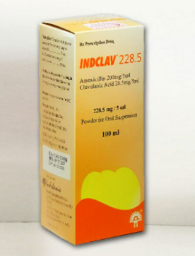 Indclav 228.5 Indchemie (c/100ml)