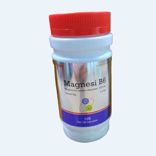 Magnesi B6 Medipharm Usa (c/120v)