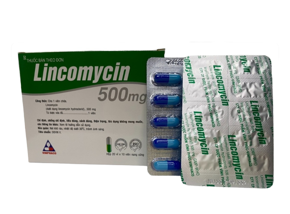 Lincomycin 500mg Vinphaco (h/100v)