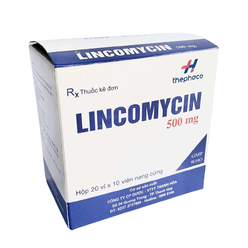 Lincomycin 500mg Thanh Hóa (h/200v)