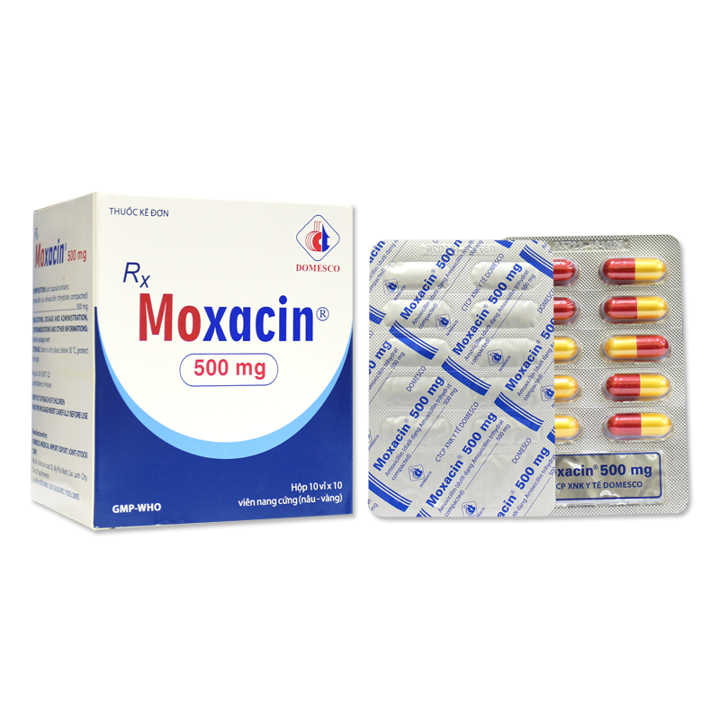 Moxacin Amoxicillin 500mg Domesco (h/100v)