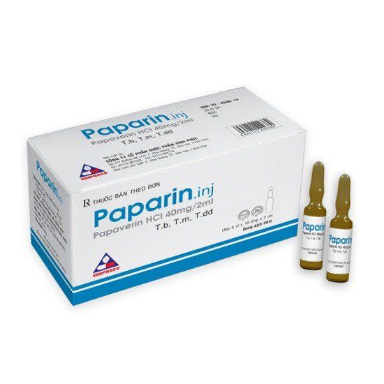 Paparin Papaverine Hcl 40mg/2ml Vinphaco (h/50o/2ml)