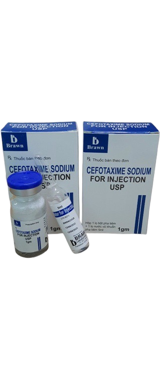 Cefotaxime Sodium 1g Brawn (hộp/1 Chai Bột Pha Tiêm 1gr Và 1 Chai Nước ...