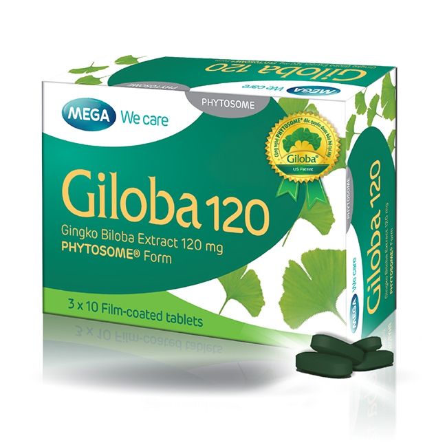 Giloba Ginko Biloba Extract 120mg Mega (h/30v)