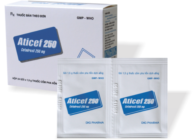 Aticef Cefadroxil 250mg Dhg (h/24g)