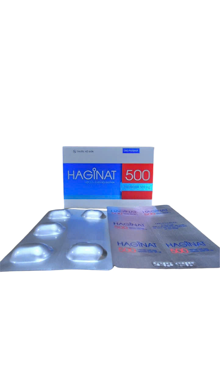 Haginat 500mg Dhg (h/10v)